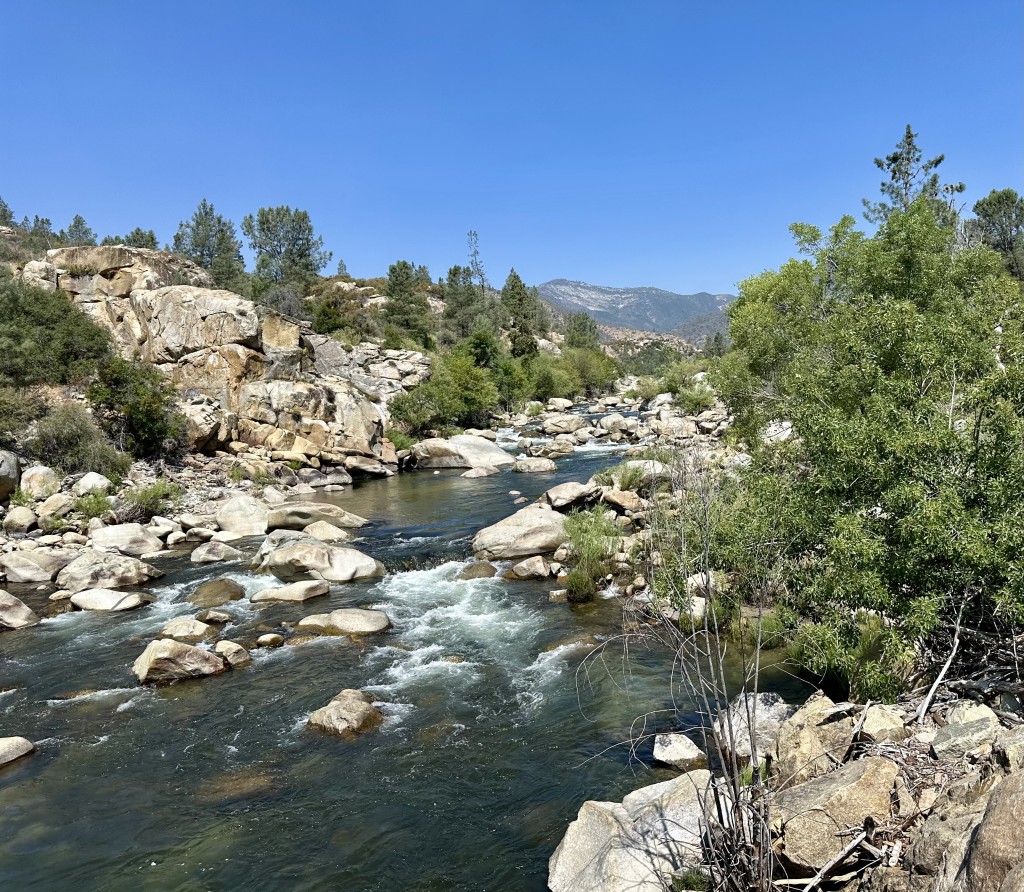 Decades of planning to bolster Kern River rainbow numbers results in ...